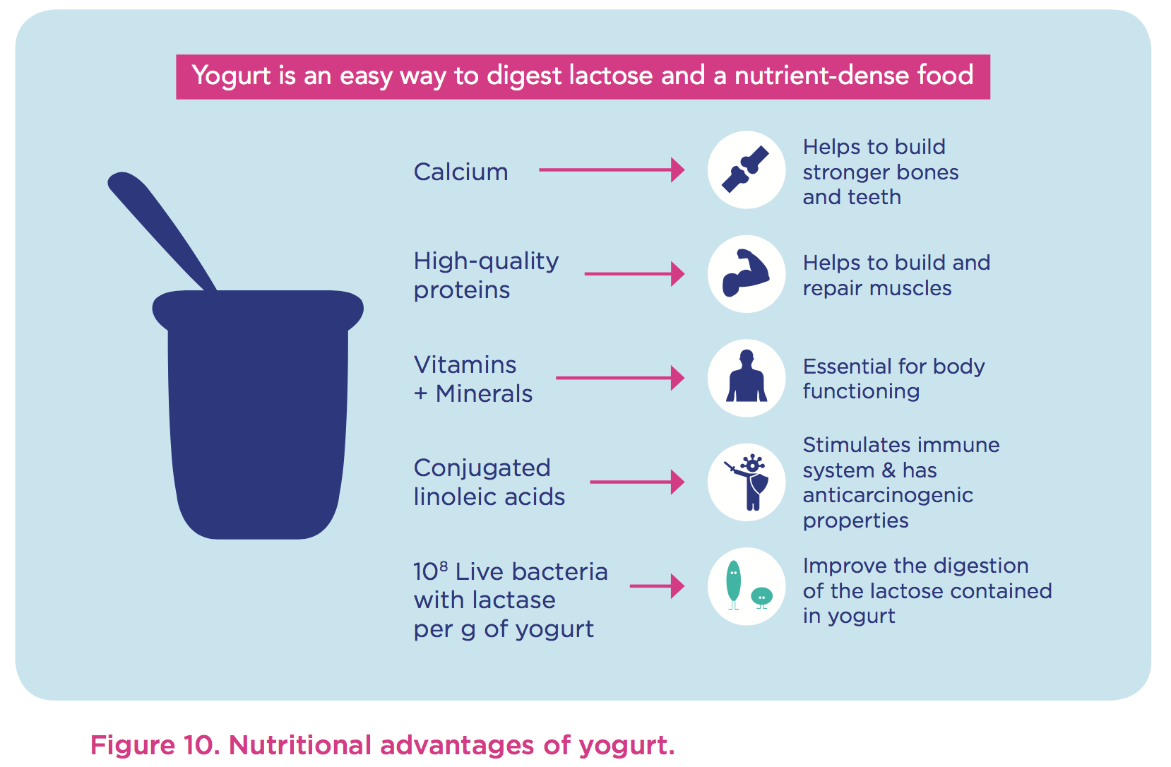 What are the health benefits of yogurt?