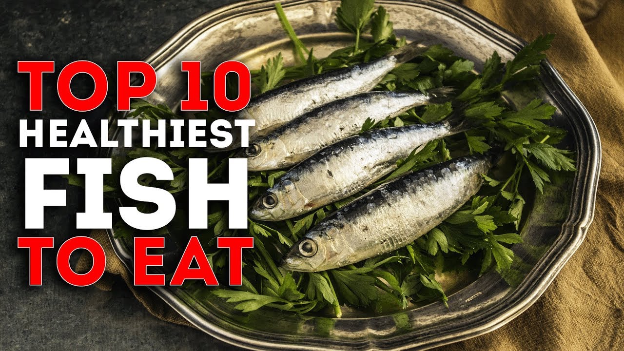 What are the healthiest fish to eat?