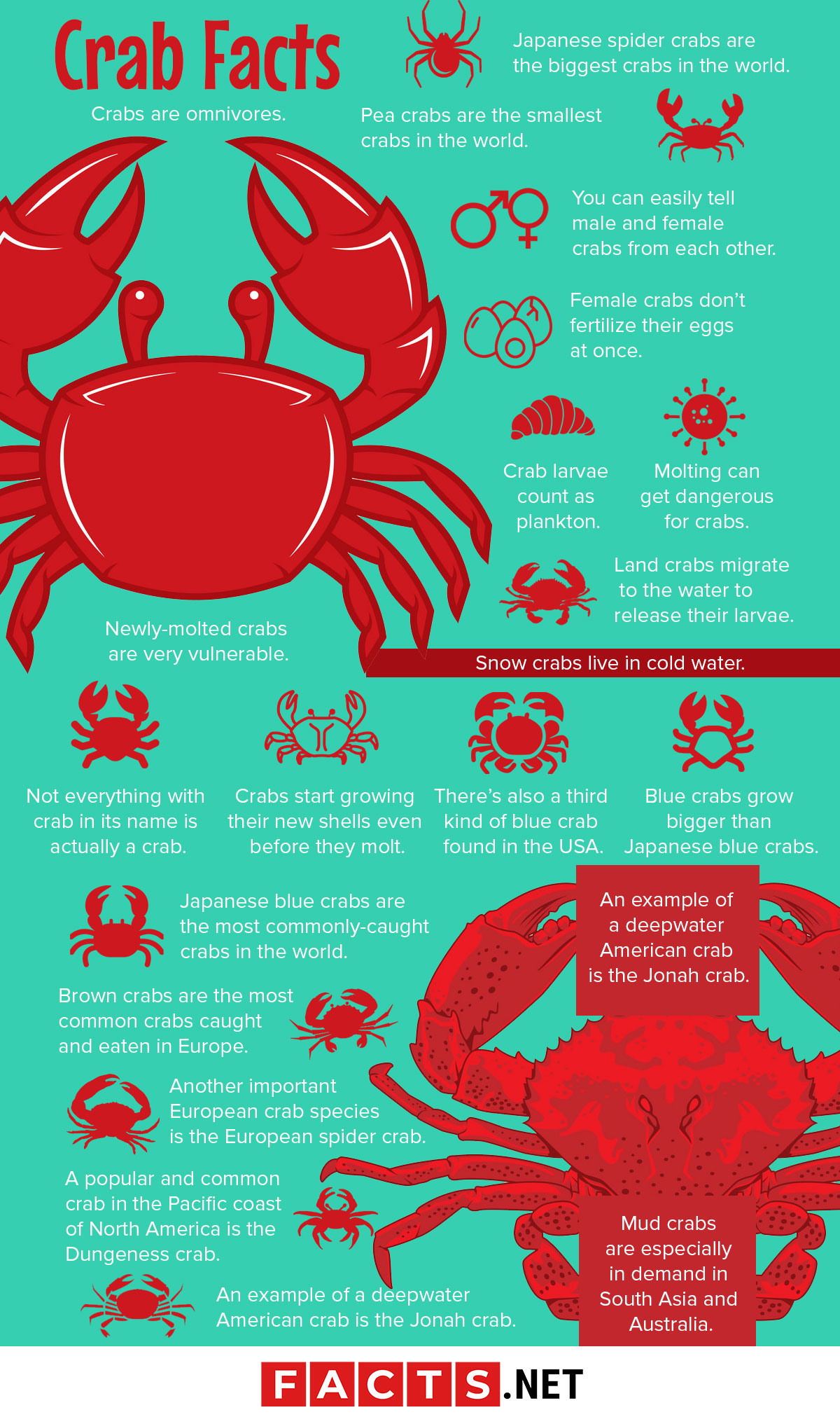 What are the importance of crabs?
