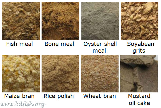 What are the ingredients to make fish feed?
