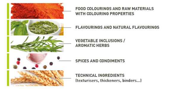 What are the key components of a soup?