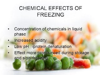 What are the key factors in food freezing?