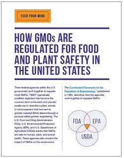 What are the laws regulations affecting GMOs in the United States?