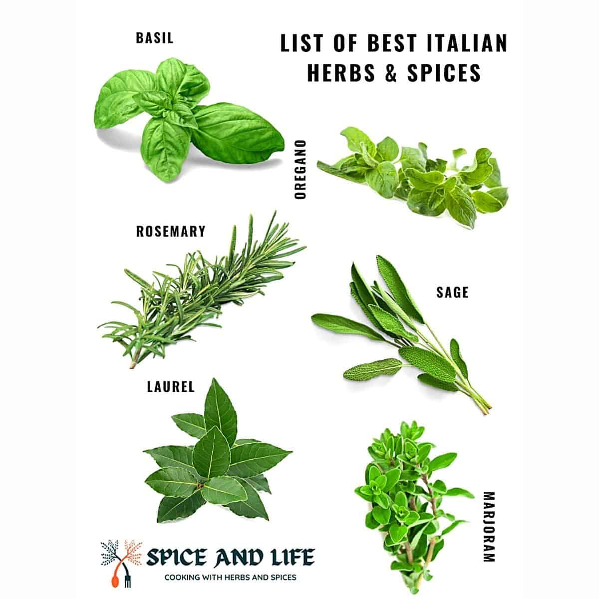 What are the main Italian spices?
