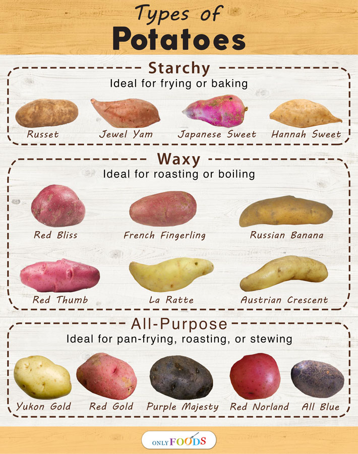 What are the main types of potatoes?
