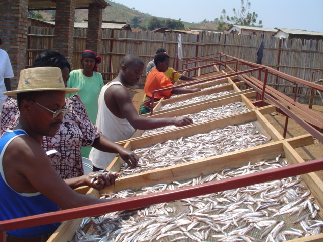 What are the method of drying fish?