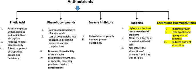 What are the methods to remove anti-nutritional factors present in oilseeds?