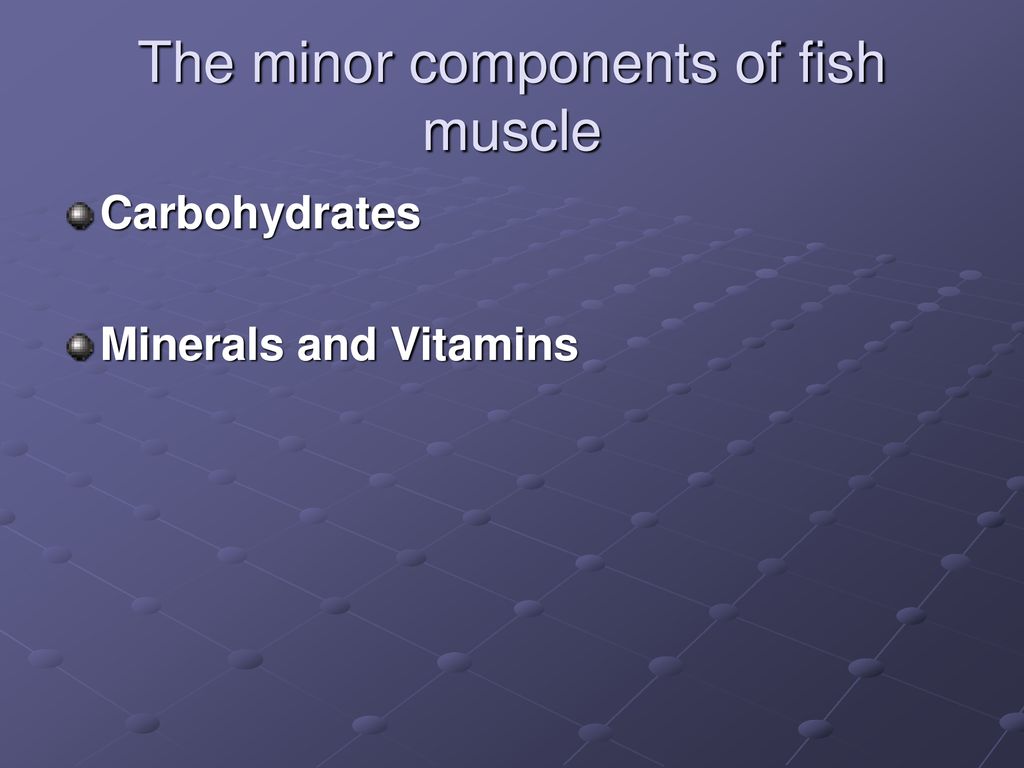 What are the minor components of fish muscle?