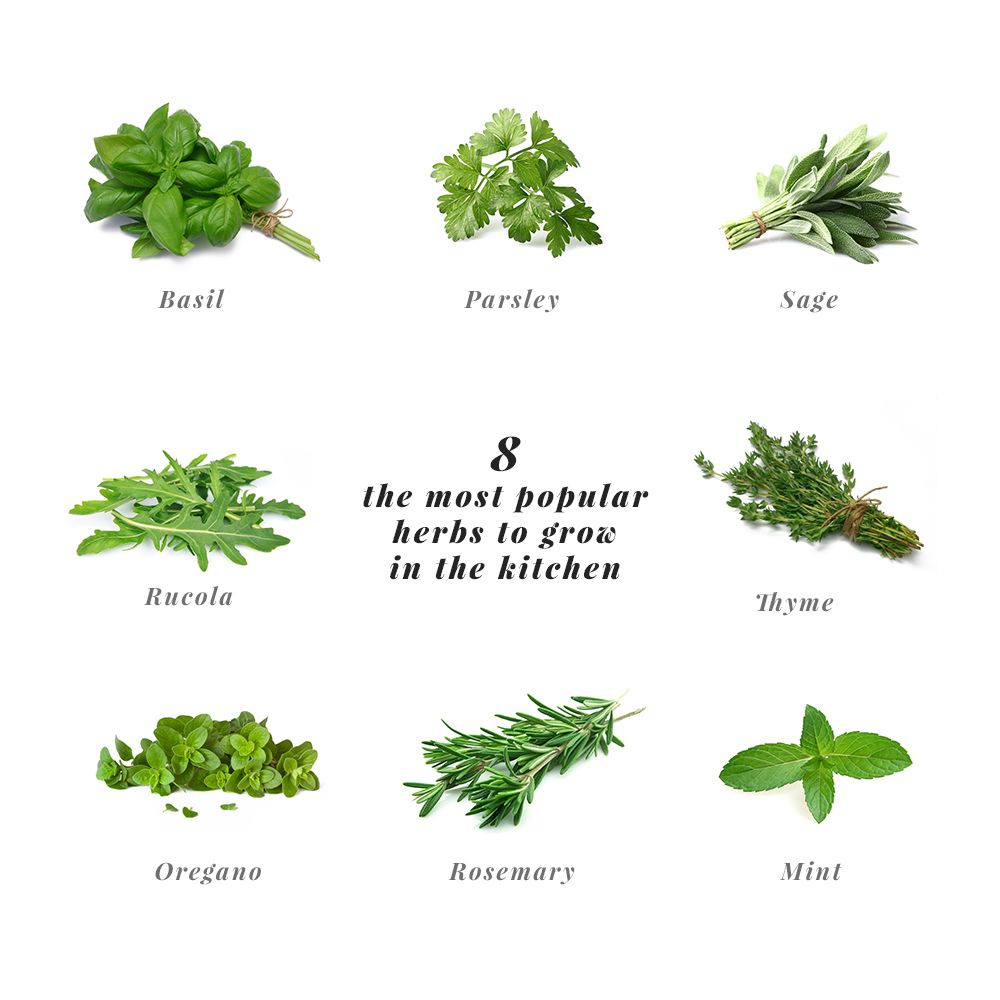 What are the most common herbs?