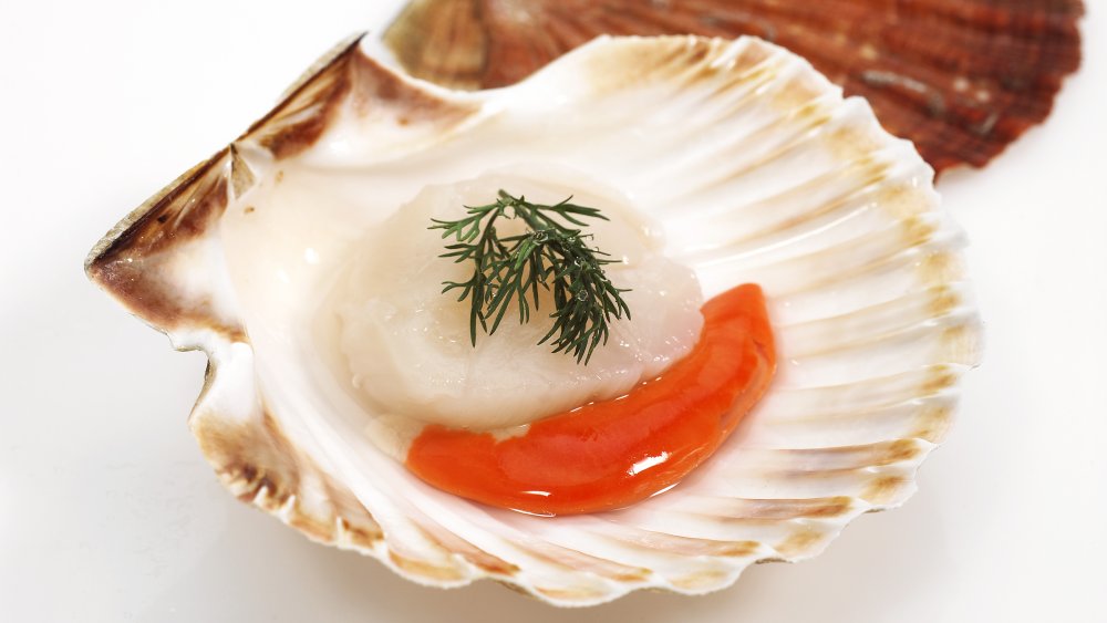 What are the most expensive scallops?