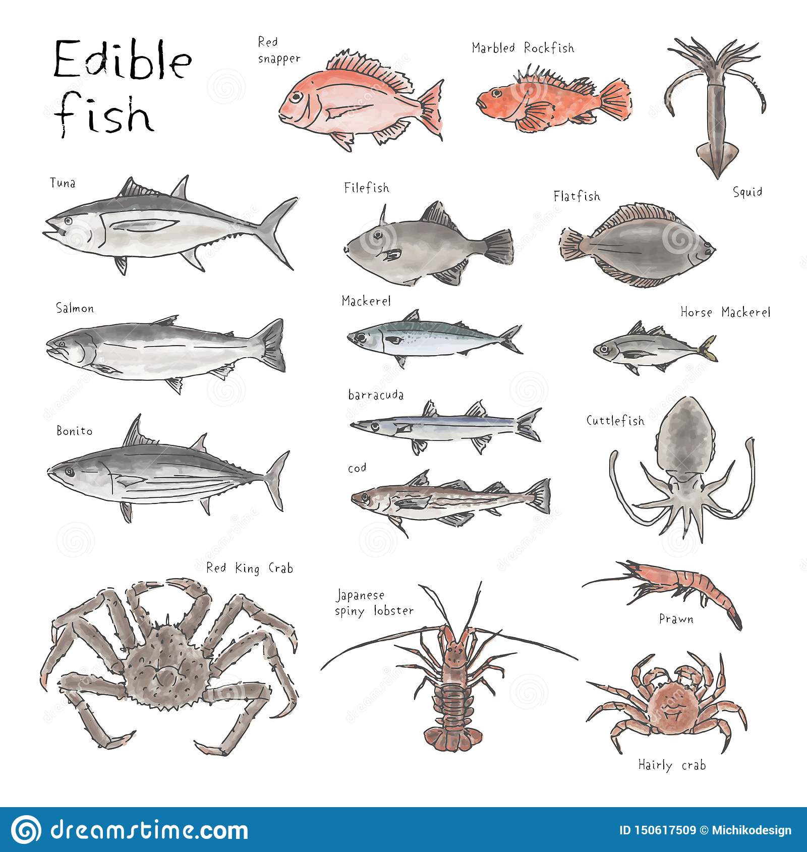 What are the names of edible fishes?