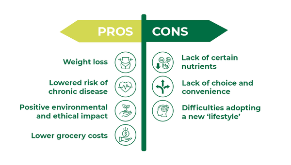 What are the negative effects of vegetarianism?