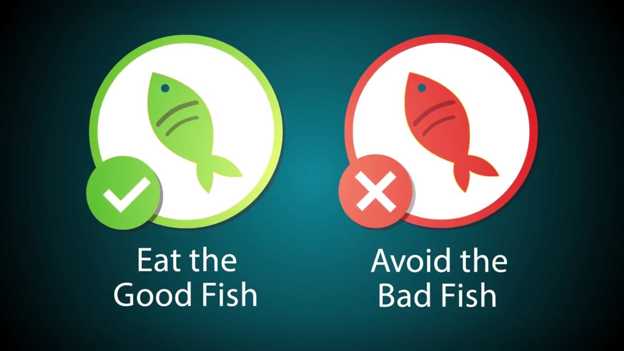 What are the negatives of eating fish?