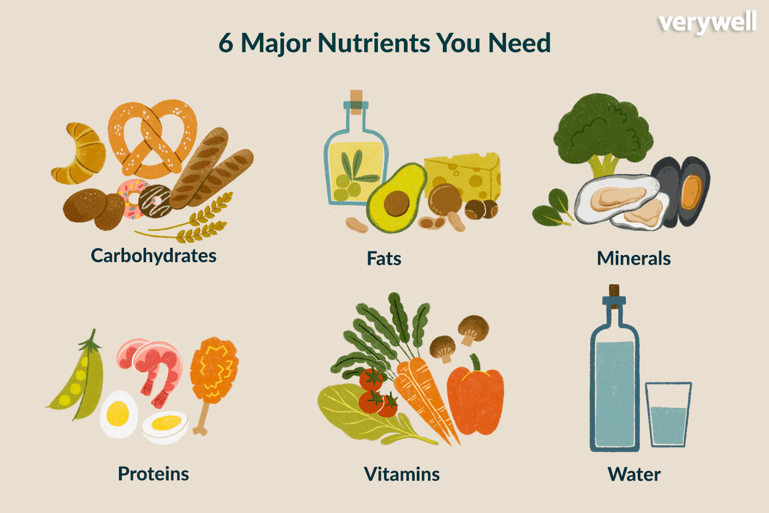 What are the nutrients found in food?