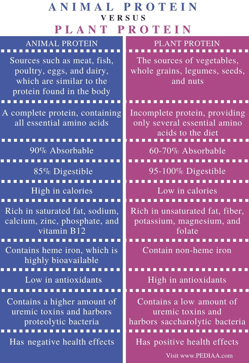 What are the nutritional differences between animal and plant proteins give an example of each?