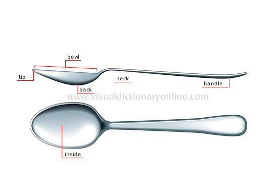 What are the parts of soup spoon?