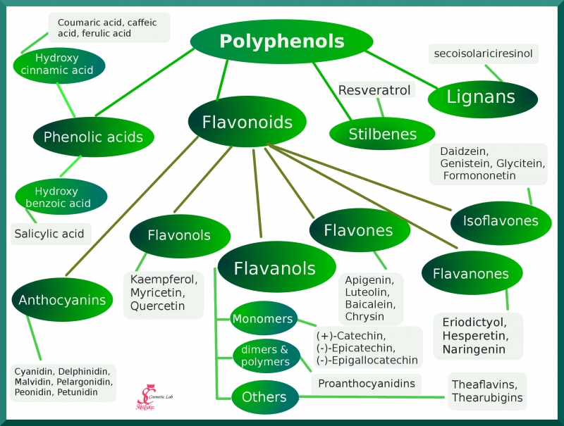 What are the phytochemicals in plants?