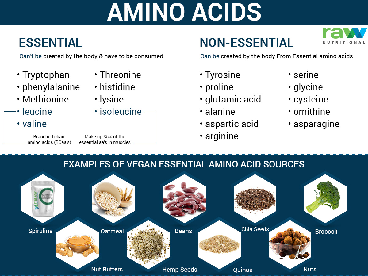 What are the plant-based sources of essential amino acids?