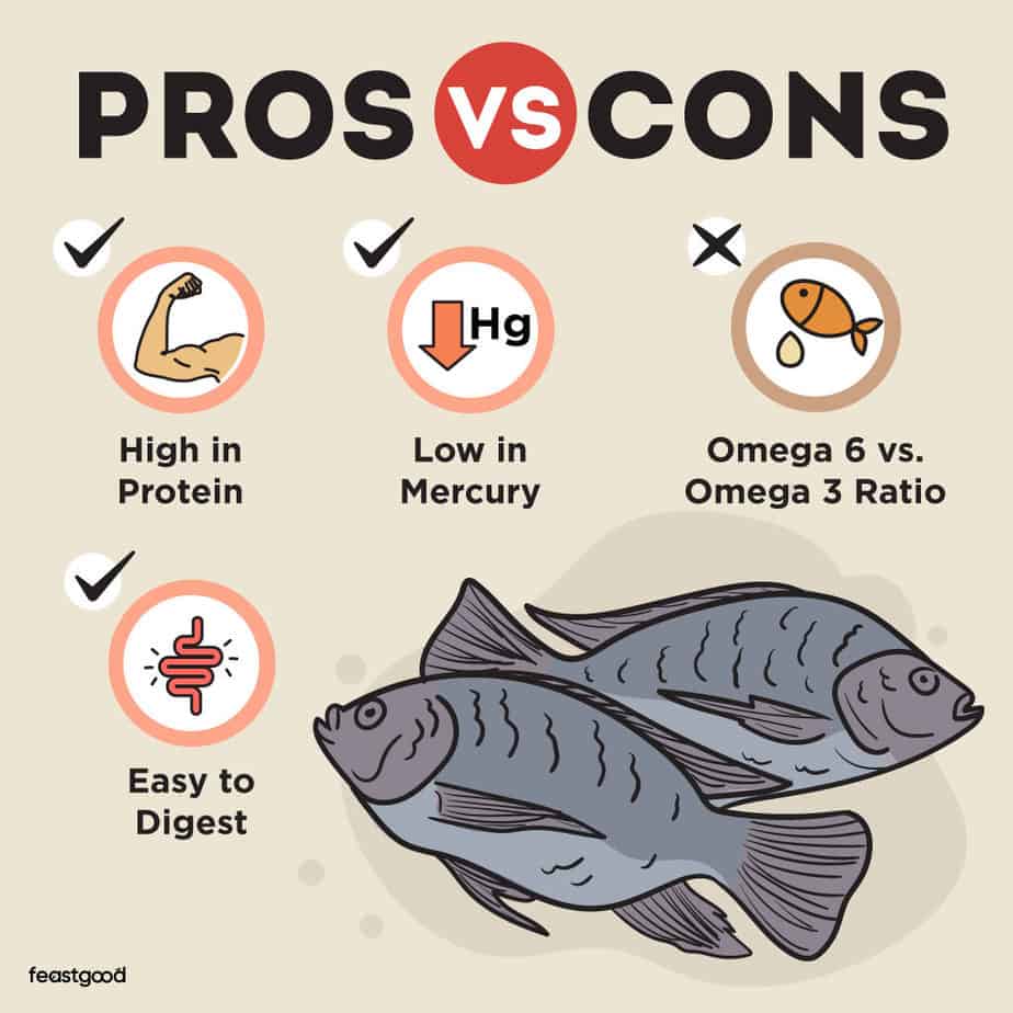What are the pros and cons of eating tilapia?