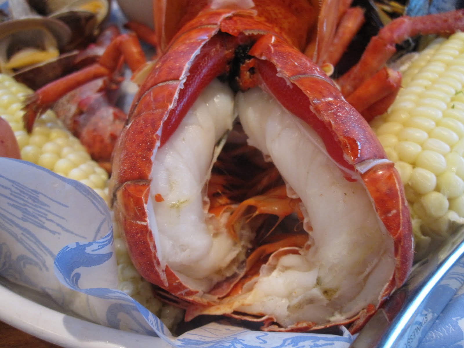 What are the red seeds in lobster?