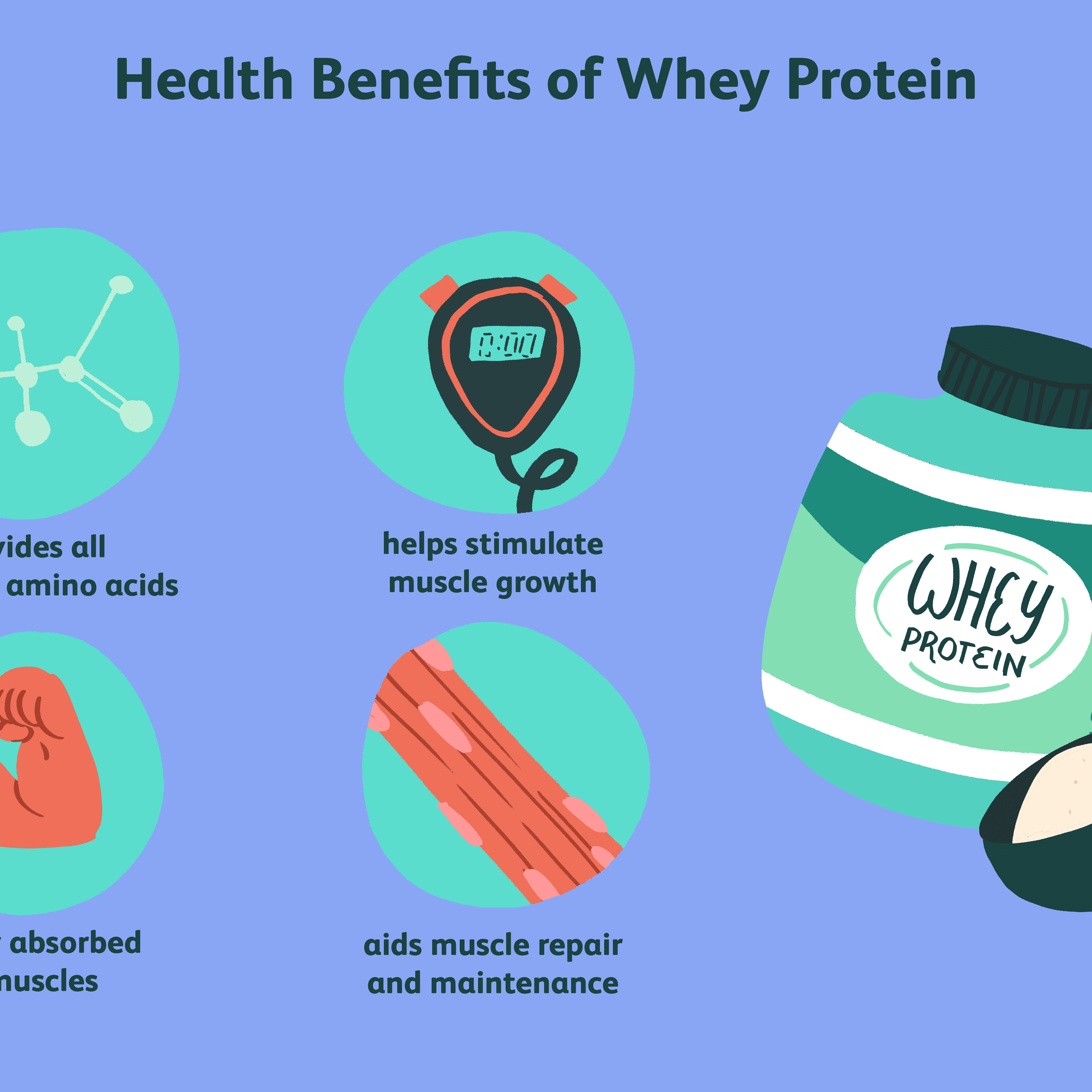 What are the side effects of whey protein?