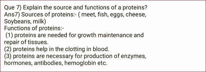 What are the sources of protein short answer?