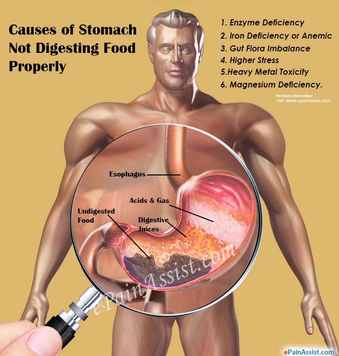 What are the symptoms of not digesting food properly?