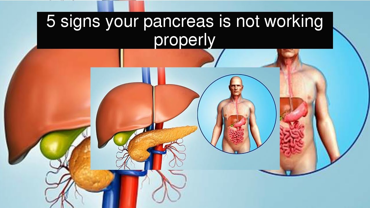 What are the symptoms of your pancreas not working properly?