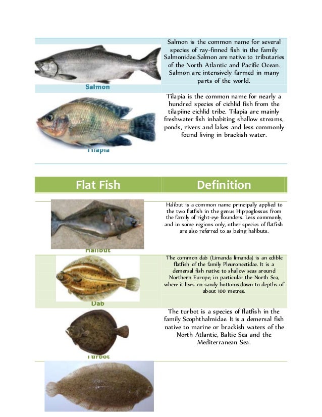 What are the three categories of seafood?