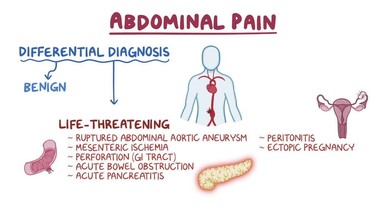 What are the three types of abdominal pain?