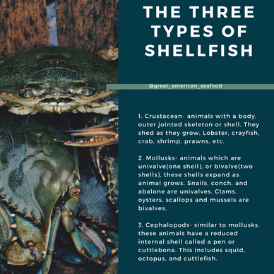 What are the three types of shellfish?