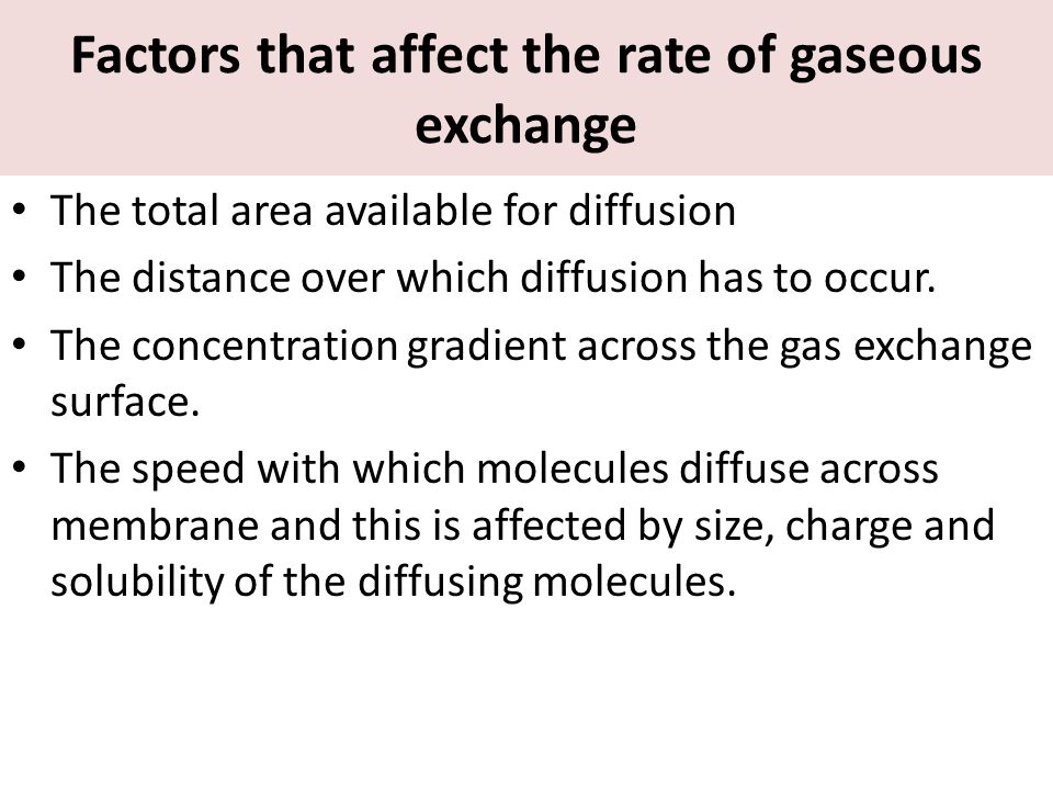 What are the two main factors controlling gas exchange?