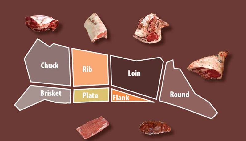 What are the two most tender muscles within the beef carcass?