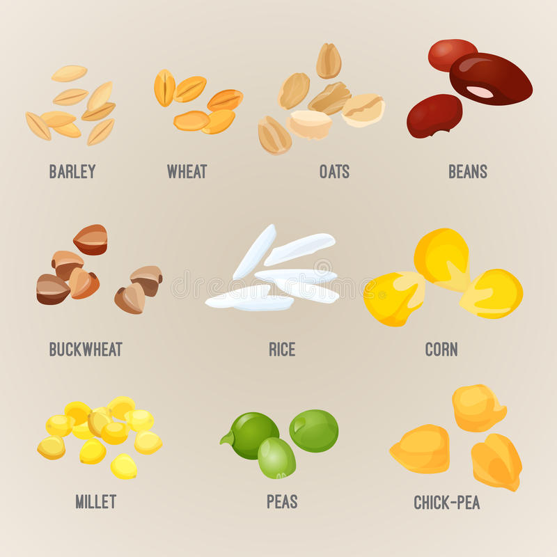 What are the types of cereals?