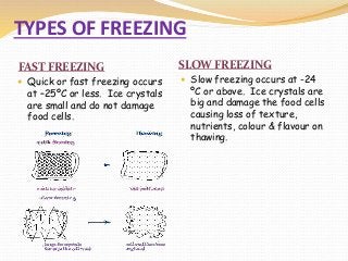 What are the types of freezing?