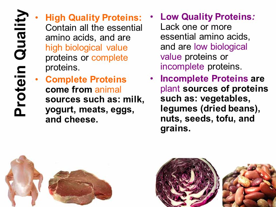 What are the types of good quality protein?