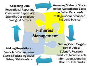 What are three methods of stock assessment?