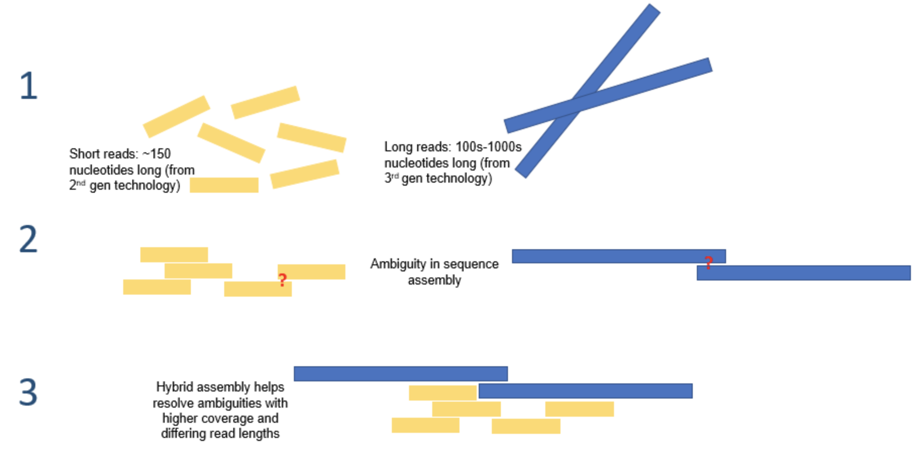 What are two methods of identifying bacteria?