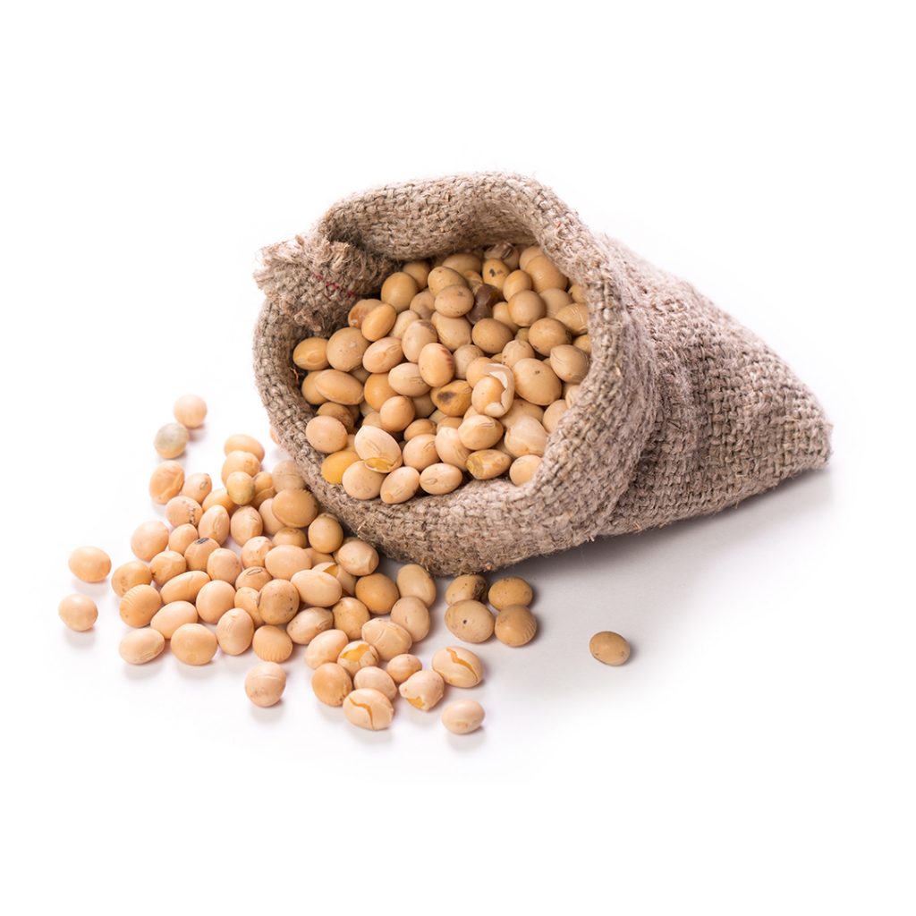 What are unfermented soy products?