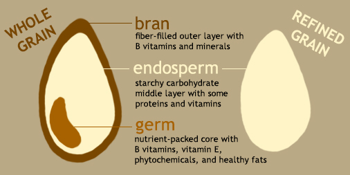 What are whole grains What are the four parts of a whole grain?