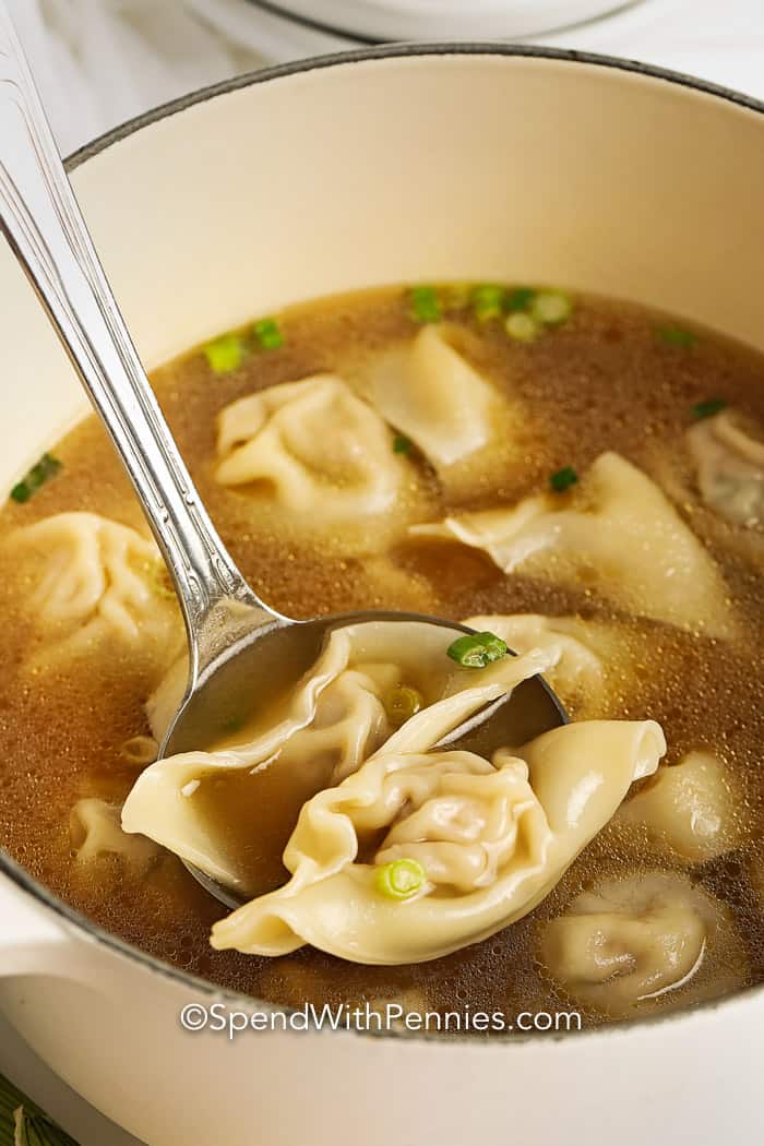 What are wontons?