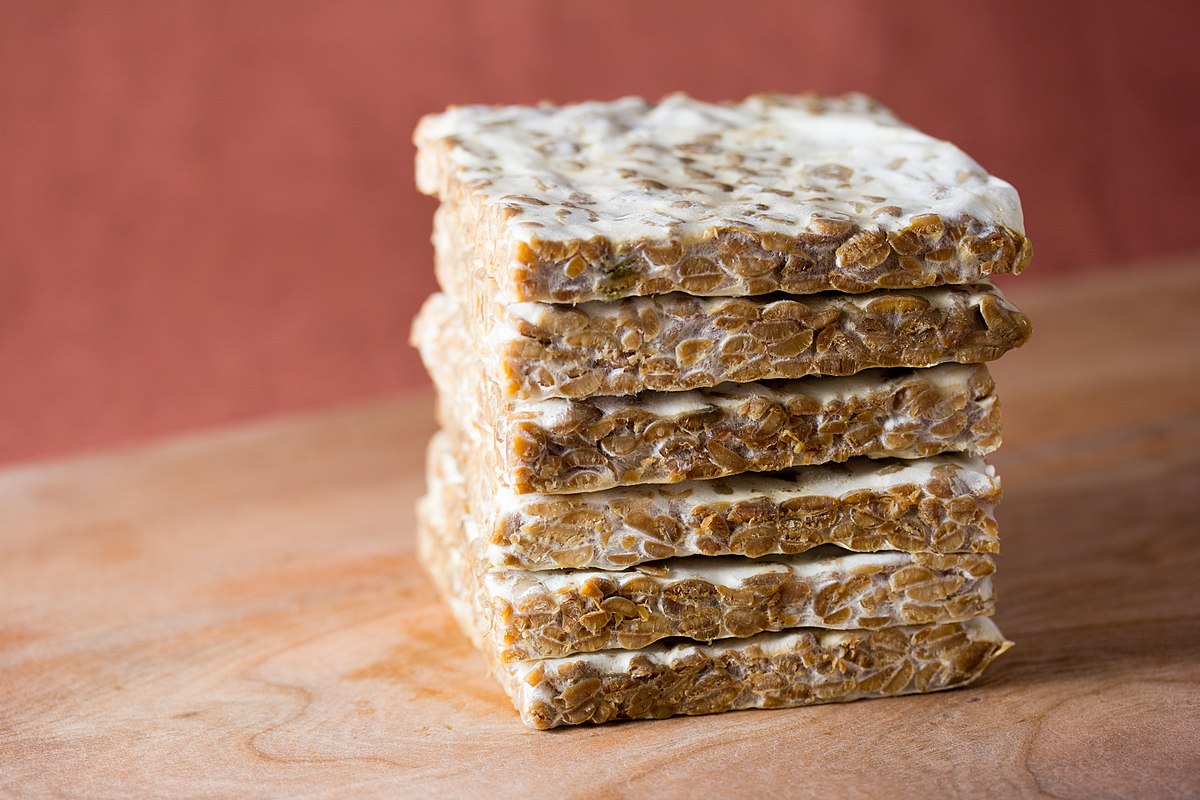 What bacteria does tempeh have?