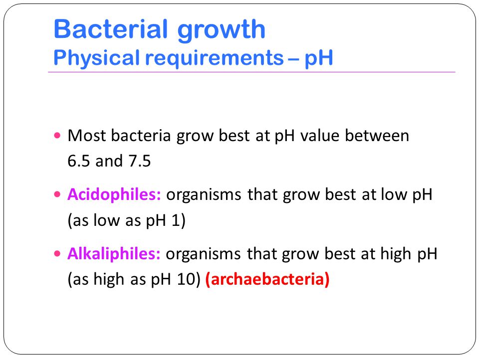 What bacteria grows best on?