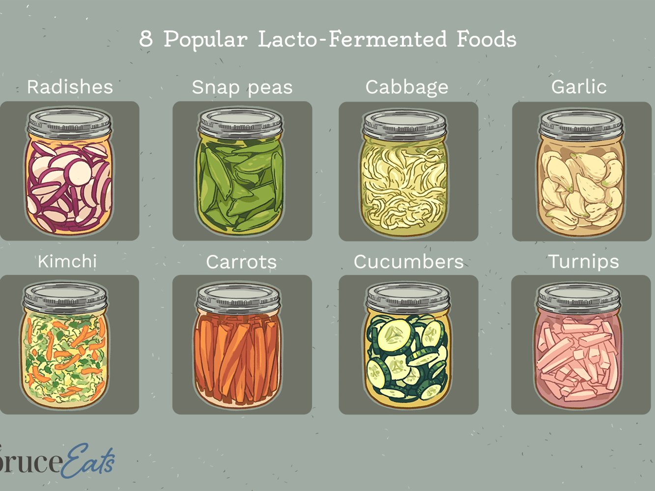 What bacteria is found in fermented foods?