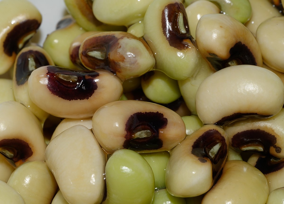 What bean is closest to black-eyed peas?