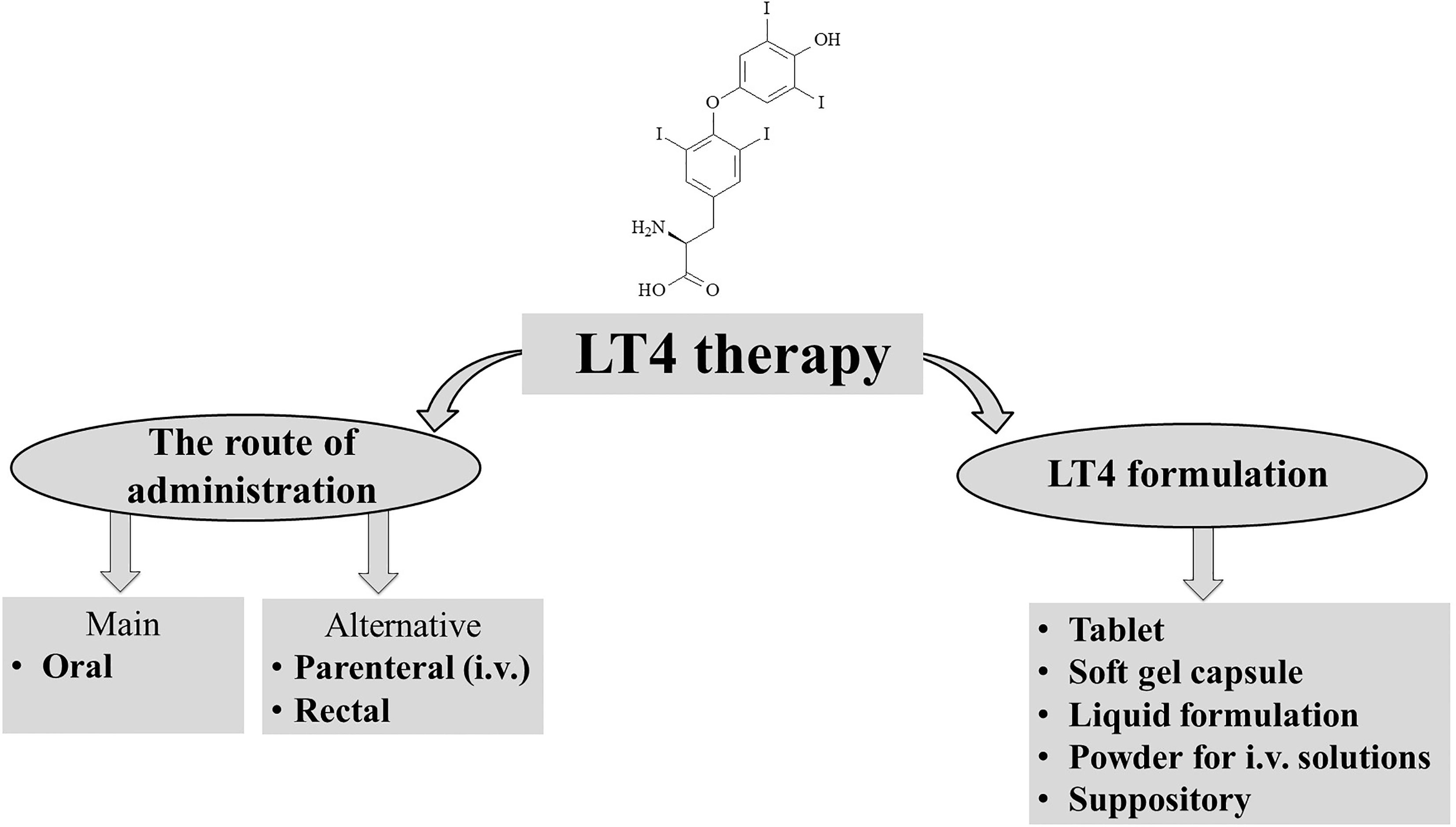 What blocks the absorption of levothyroxine?