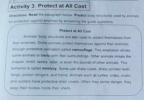 What body structure do crabs protect themselves from their enemies?