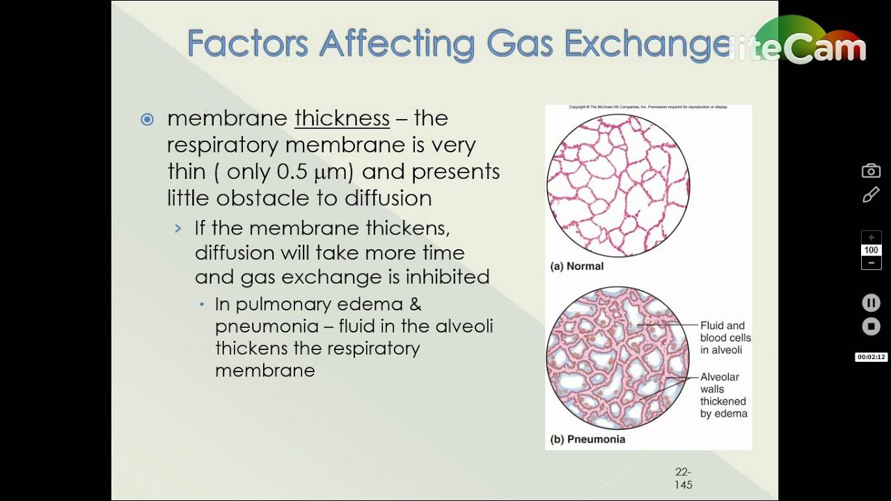 What can affect gas exchange in lungs?