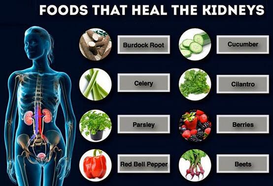 What can heal your kidneys?