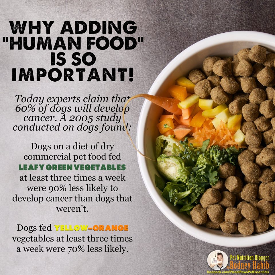 What can I add to my dogs dry food?